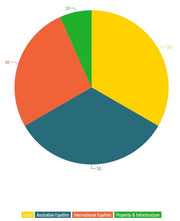 Aggressive Risk Profile Chart - Pie Chart – Templated