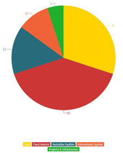 Conservative Risk Profile Chart - Pie Format – Templated