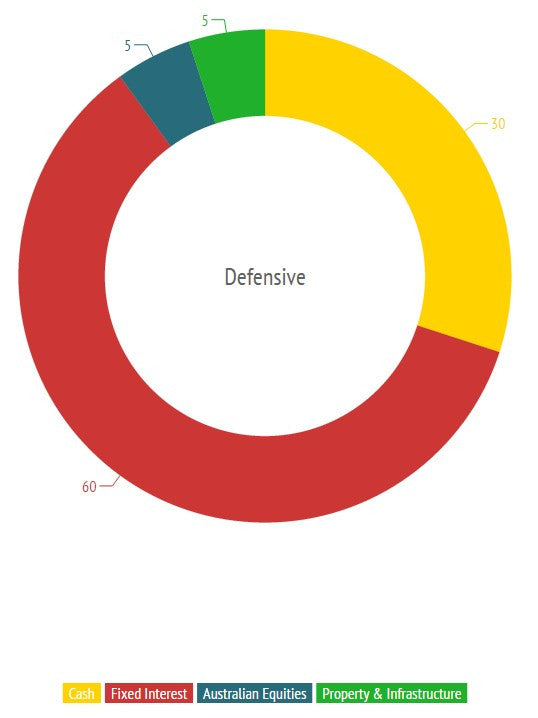 Defensive Risk Profile Chart - Donut Chart – Templated