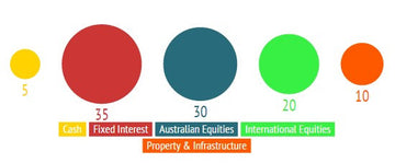 Moderate Risk Profile Chart - Circle Chart – Templated
